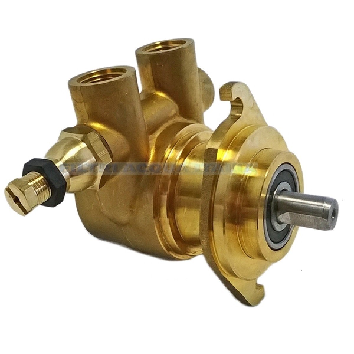 Pompa Rotativa a Palette 800 lt/h con BY PASS