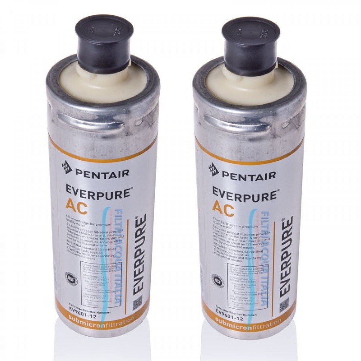 Filtri Everpure 4C, AC, 4DC, 2DC e S100 | Filtri Acqua Italia